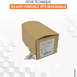 VRUSTBO4.8X16 - VIS AUTO-FOREUSE BOMBÉE - TERRASSTEEL